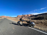 E-Chopper - Elektro Chopper Roller kaufen » Onlineshop